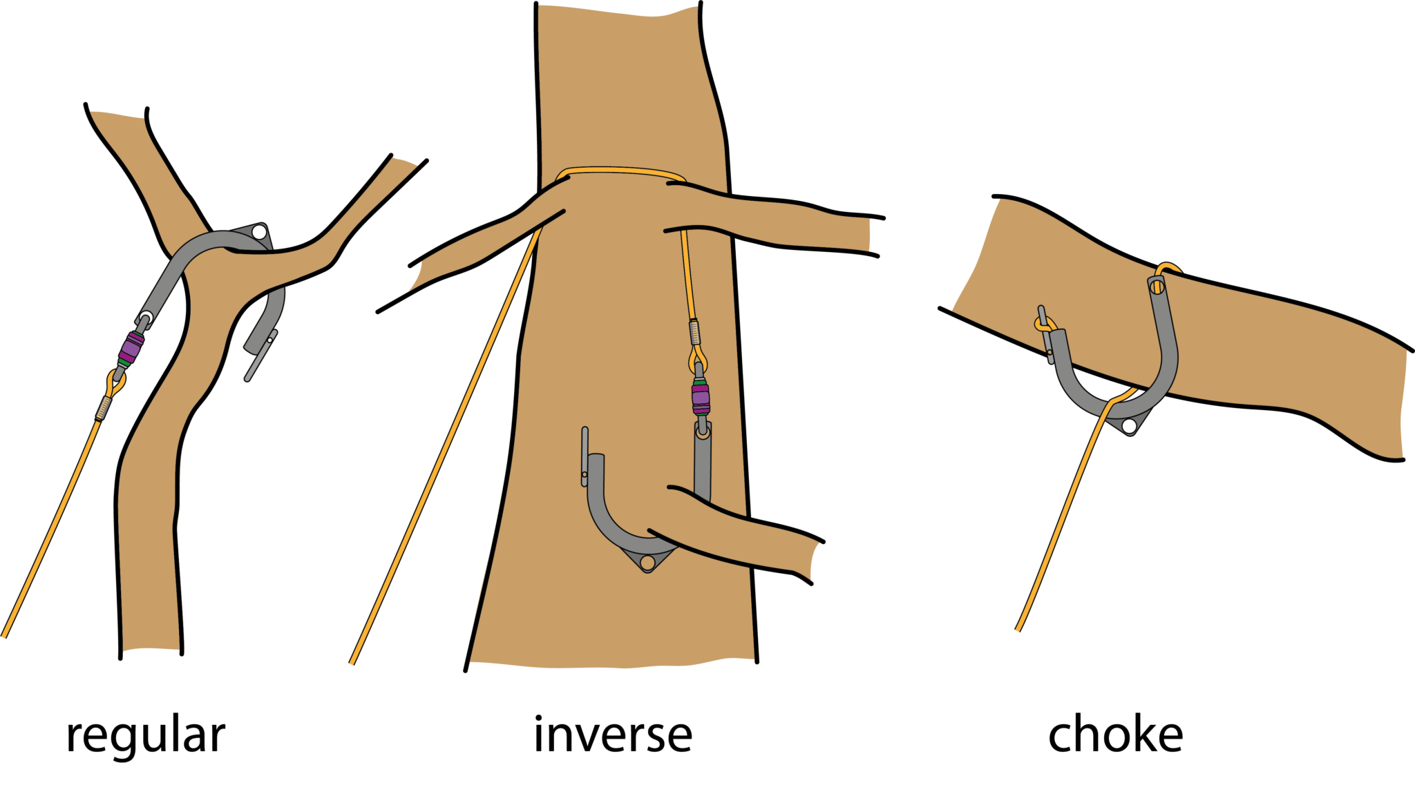 Throwing hook application in tree climbing – Baumkosmos